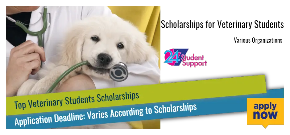 Scholarships For Veterinary Students USA Scholarships 2023 Free 